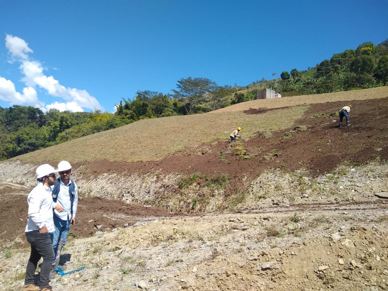 Empradización de Taludes ZODME 1 Anaime - Tolima | Vivero Villa Monica ...